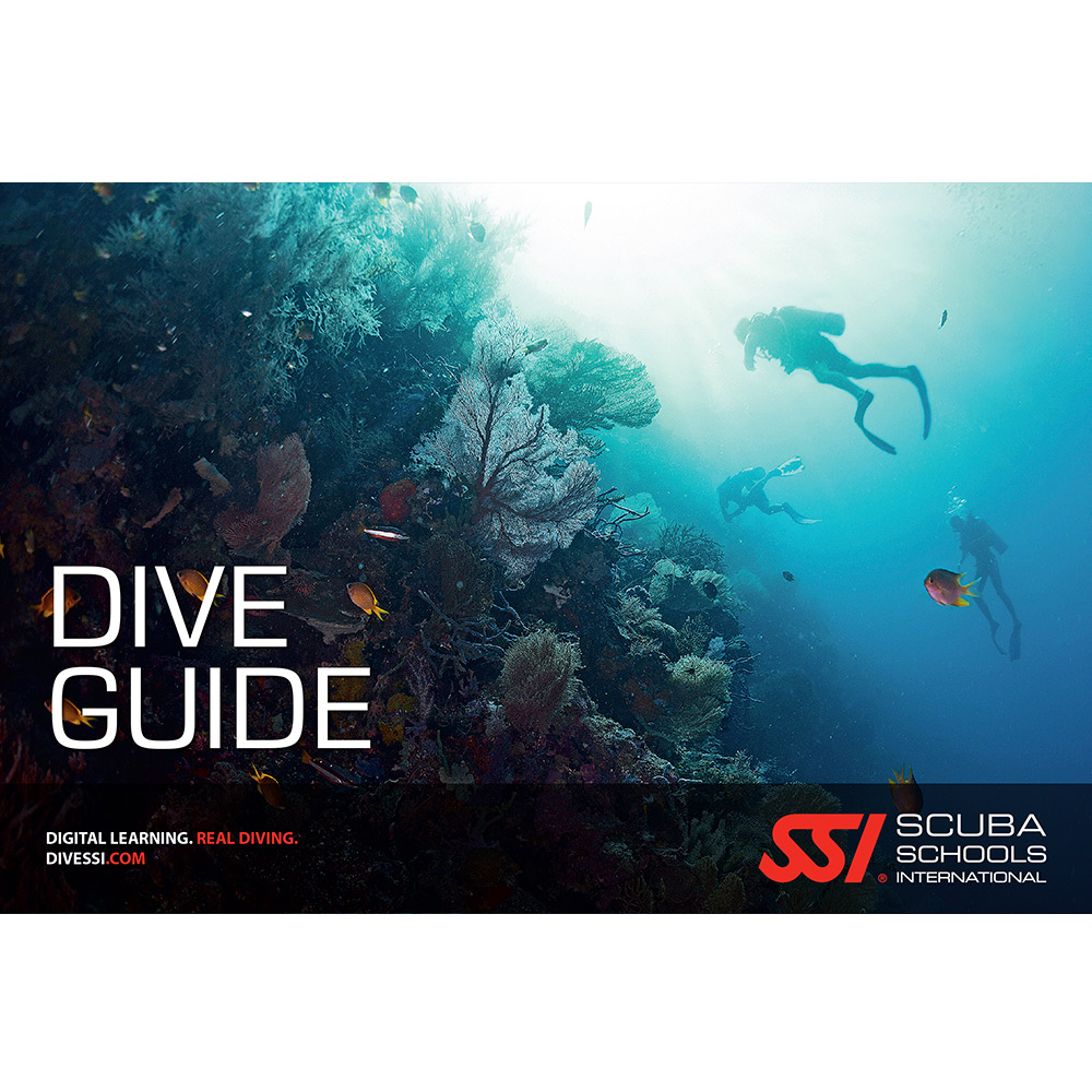 SSI Ausbildungsmaterialien